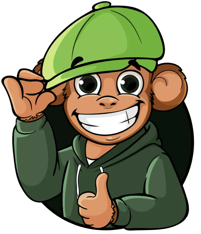 Commenter les fichiers json.